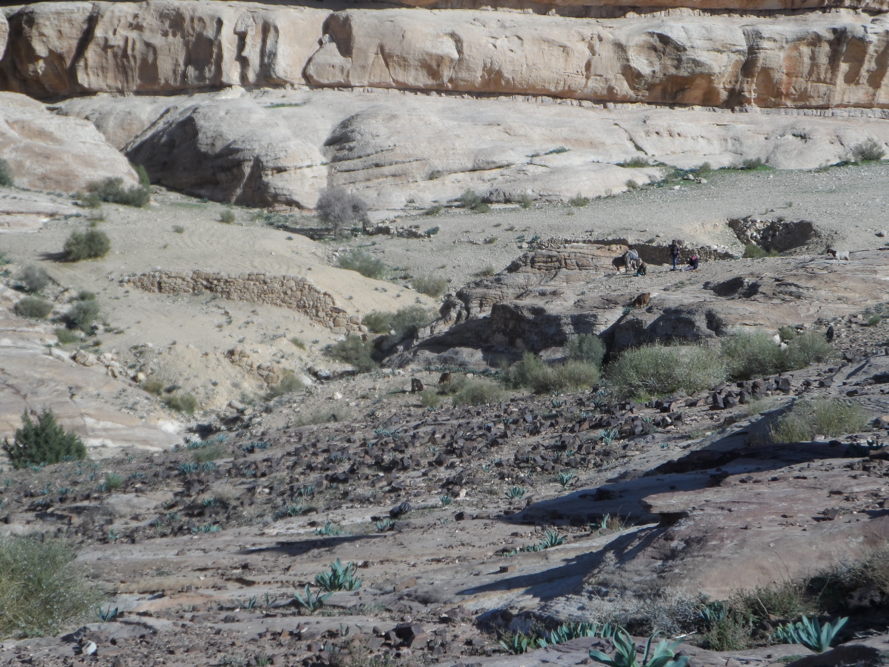 Restoration of the Ancient Nabatean Flood Control System in Wadi Madras ...